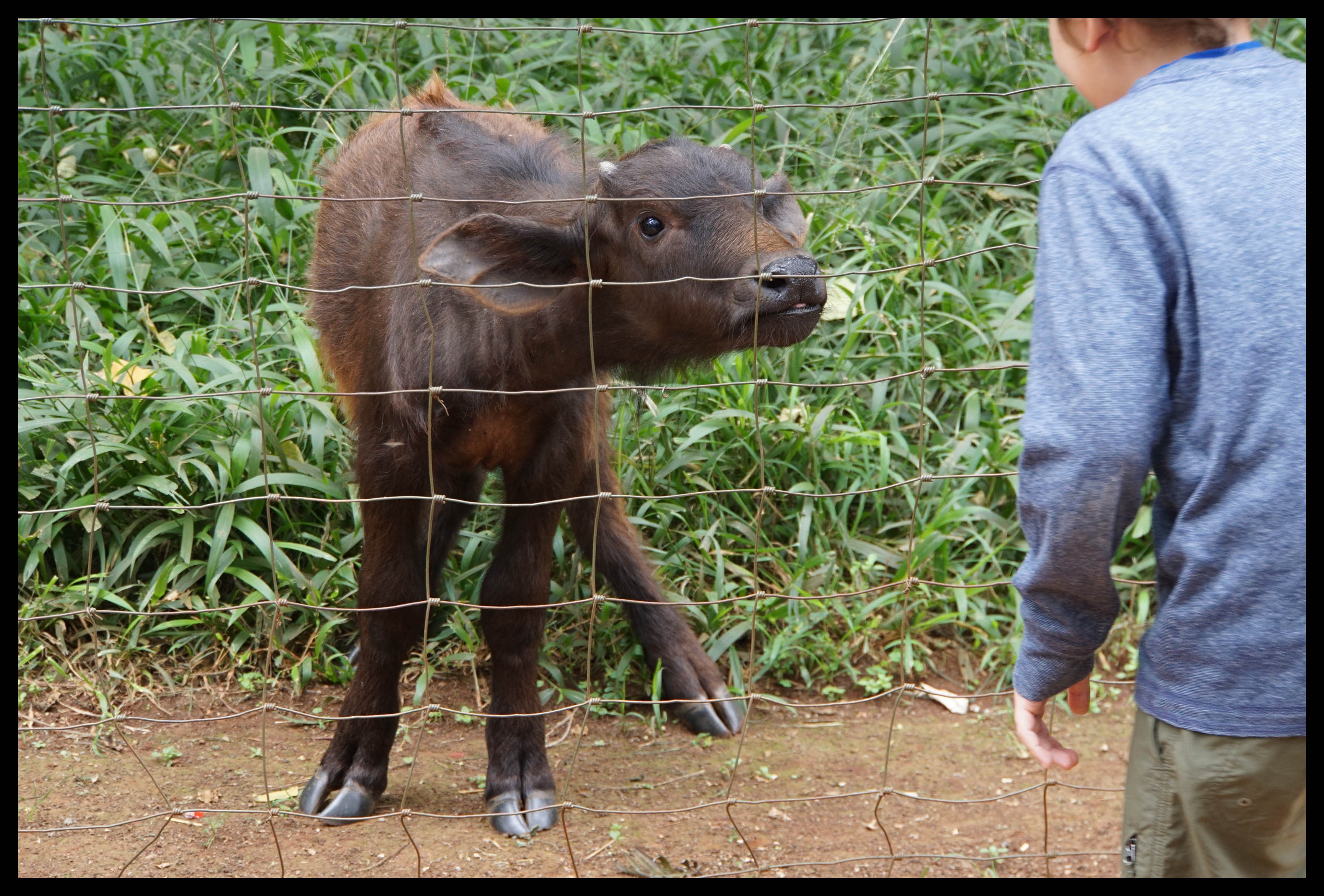 #MagicalKenya – Round the World Kid